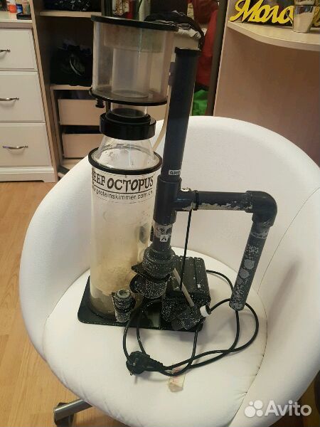 Пенник reef octopus