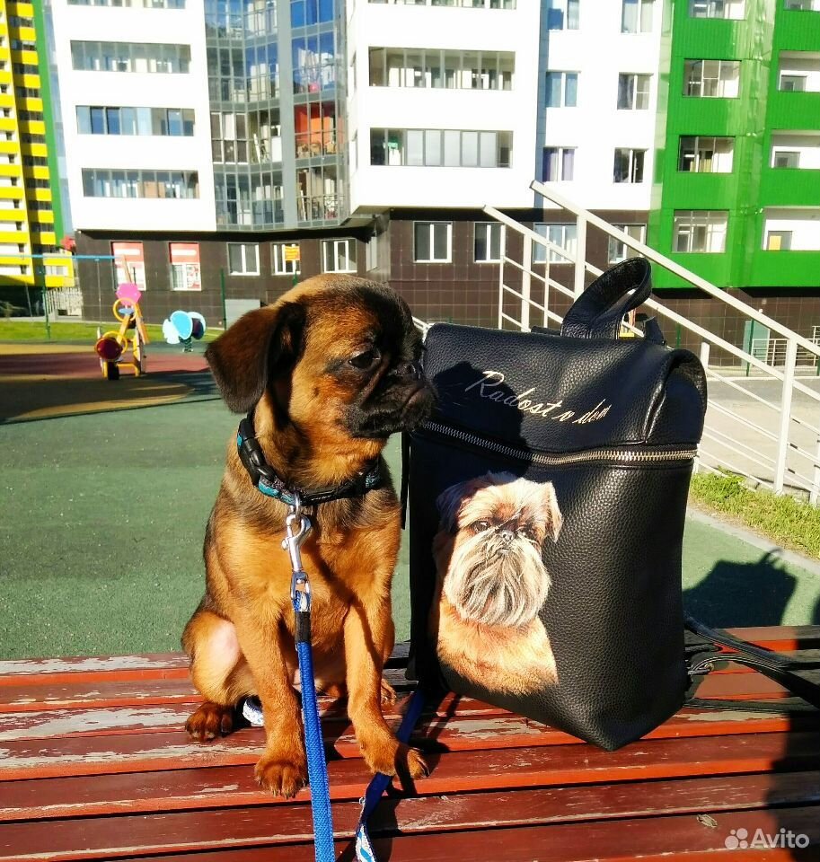 Рыжая брабочка