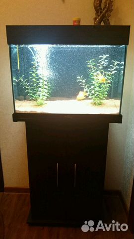 Аквариум биодизайн риф 60