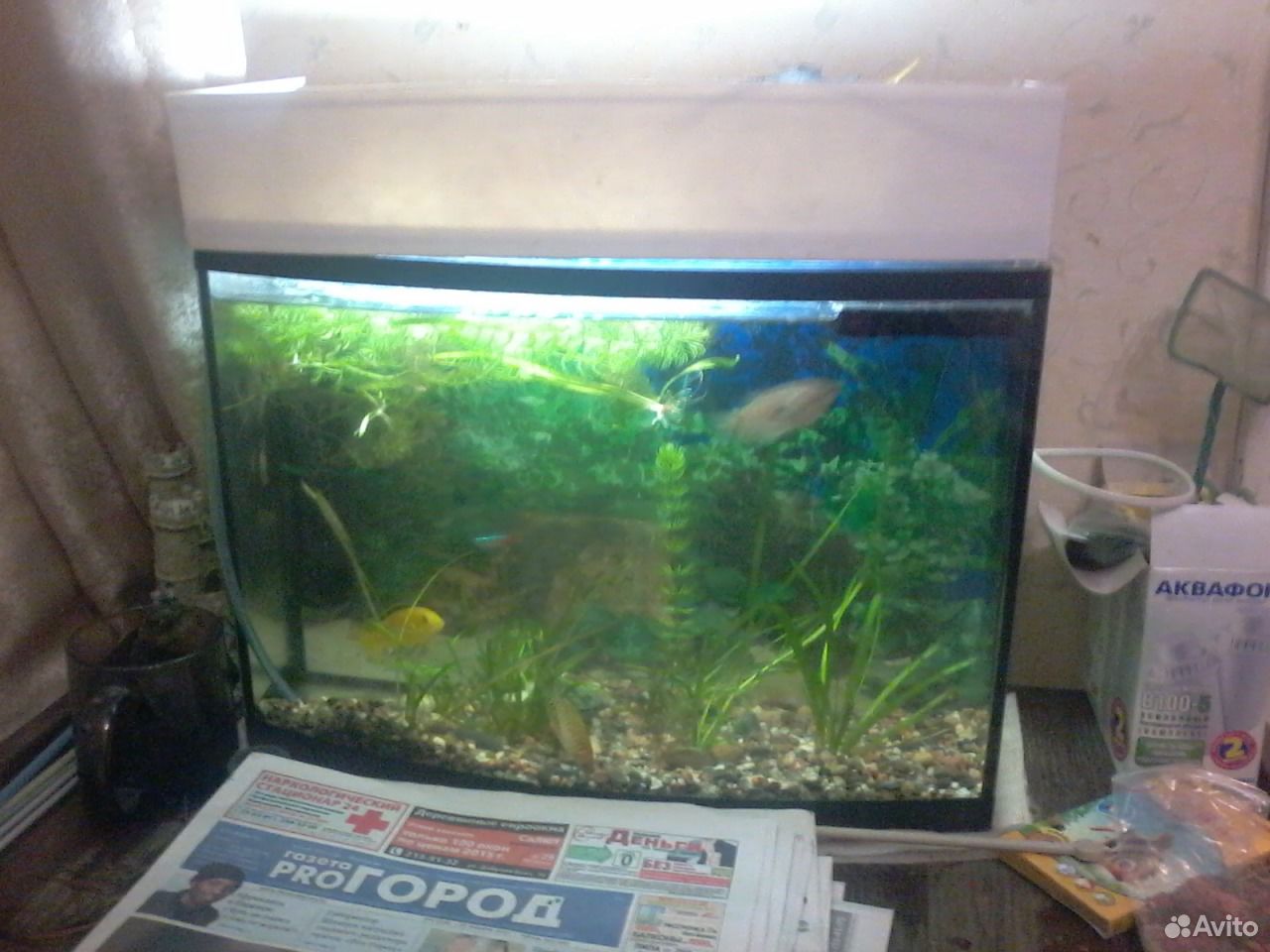 Продам аквариум с рыбками 20л