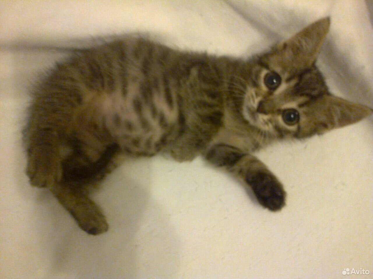 Малюська с большущими глазенками