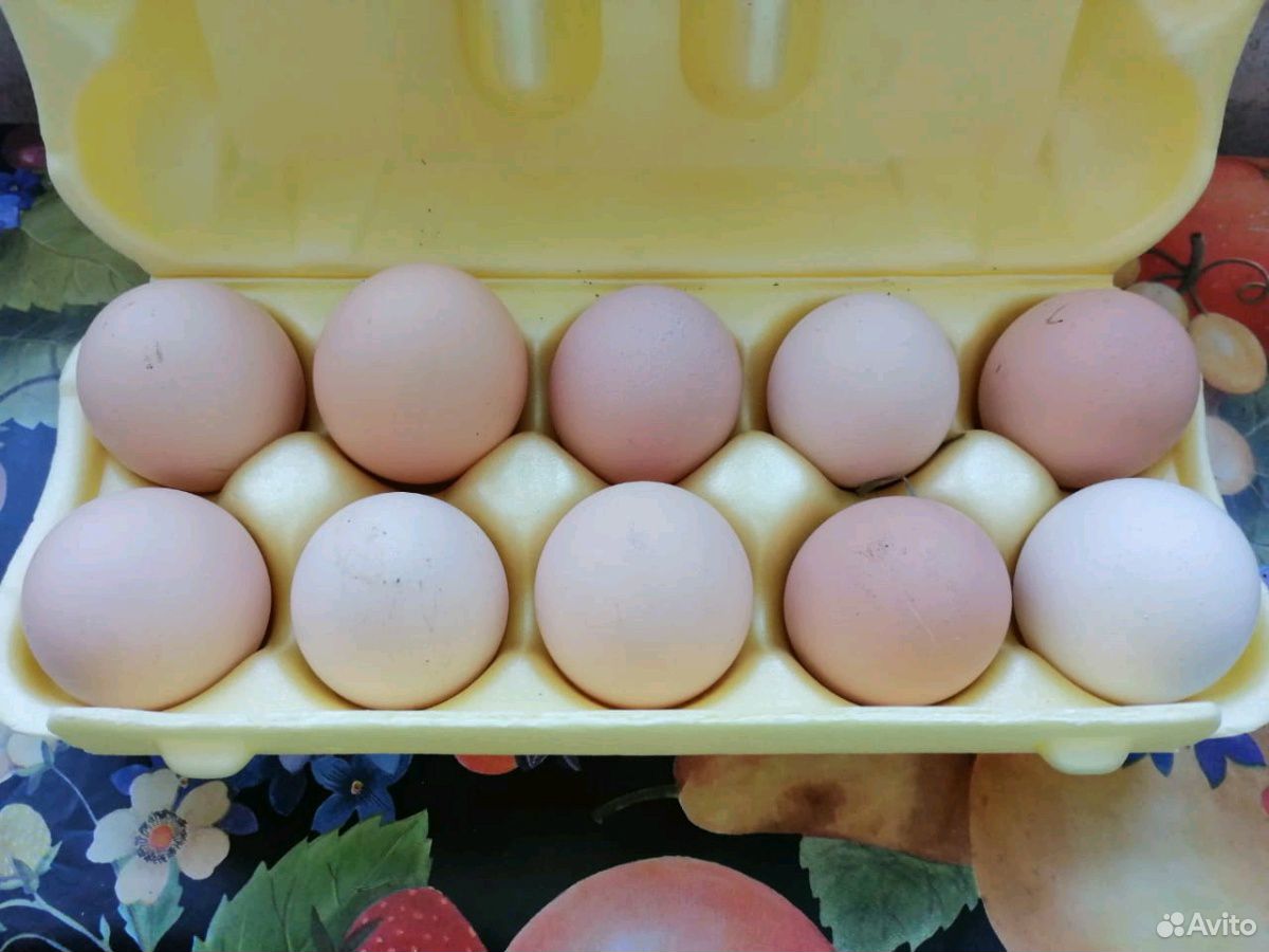 Яйца куриные