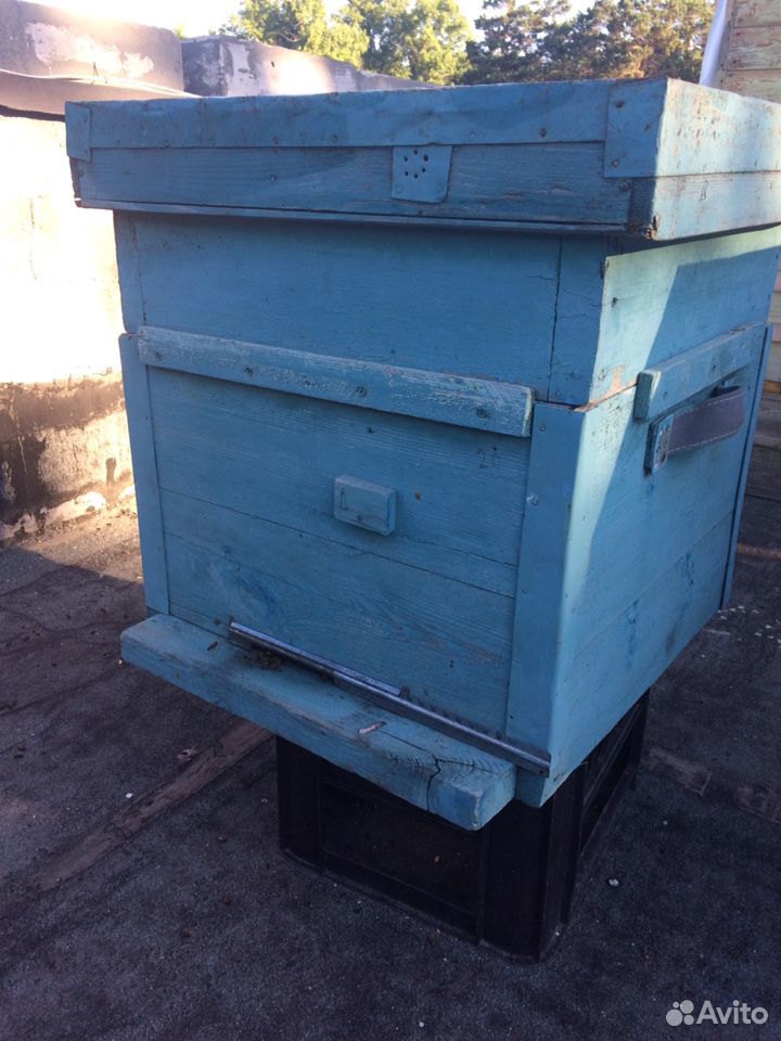 Пчелы для дачных участков