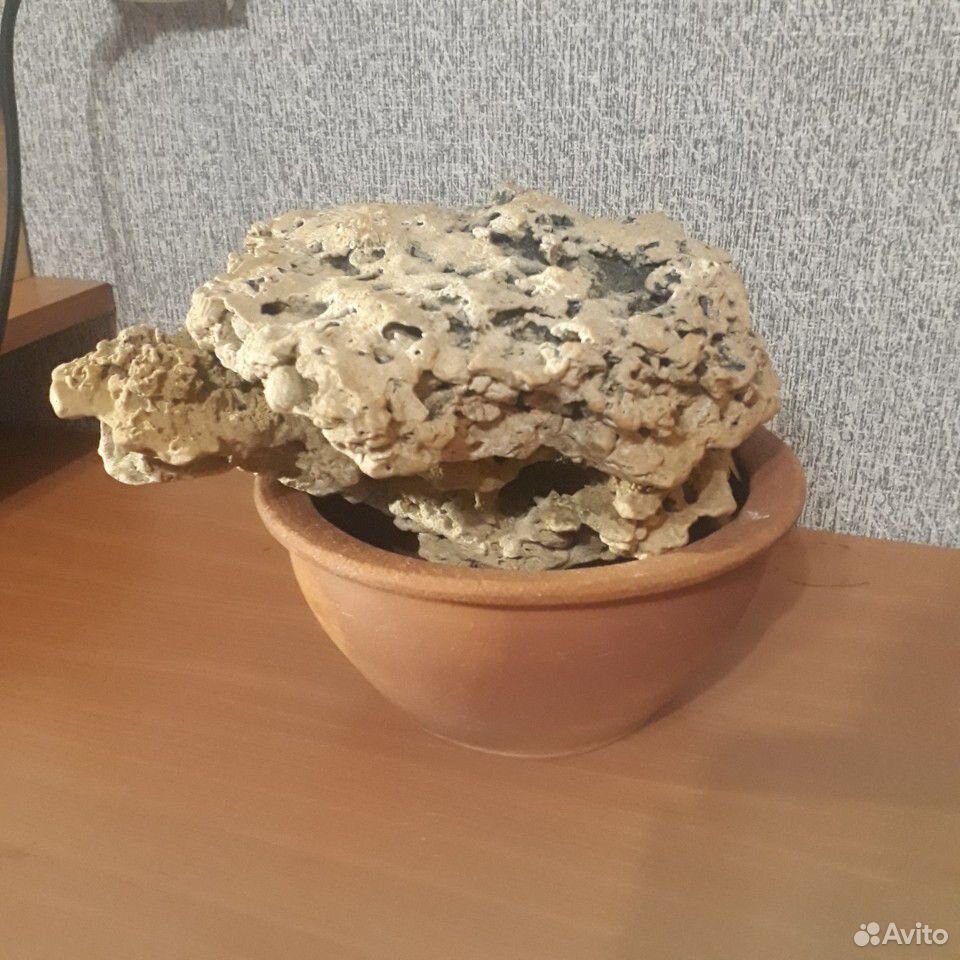 Грот для черепахи (Островок, суша)