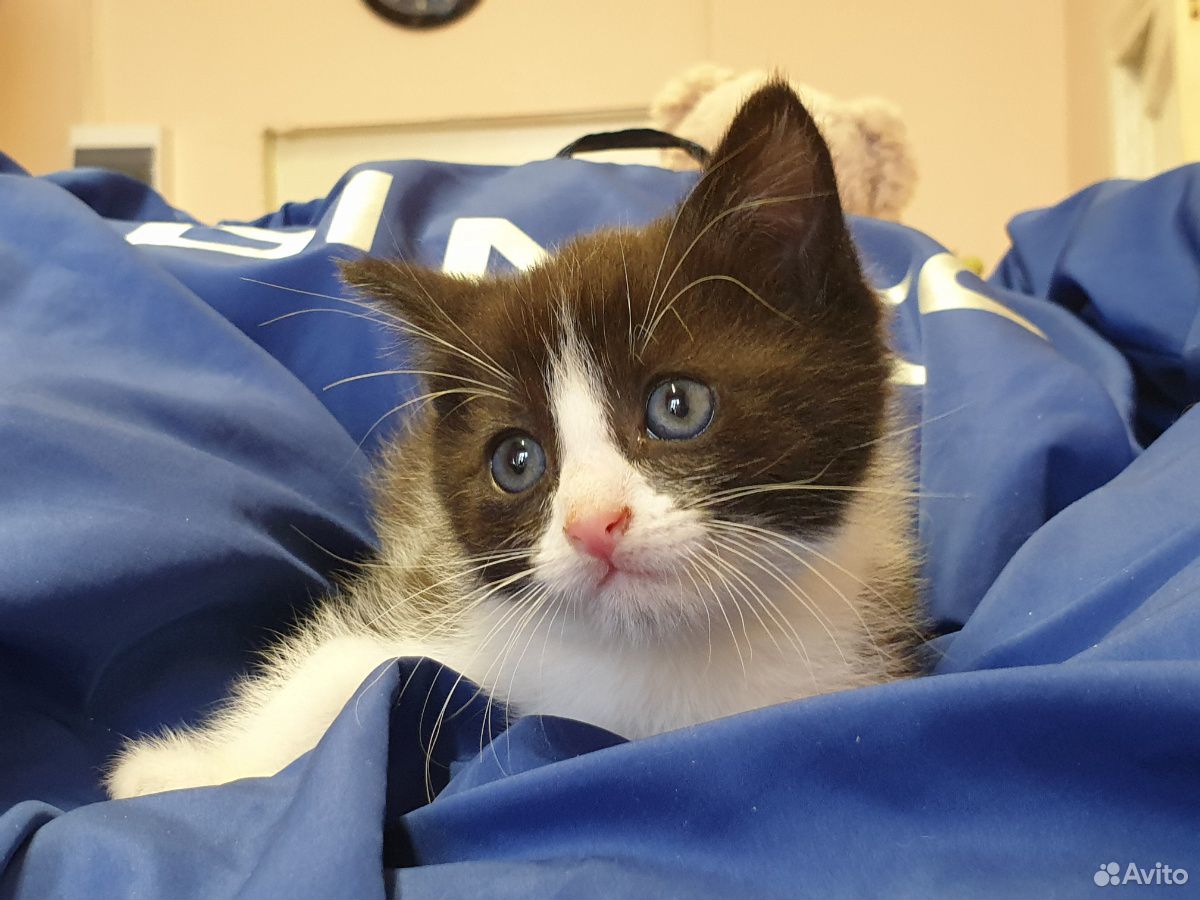 Сладкий малыш ждет маму