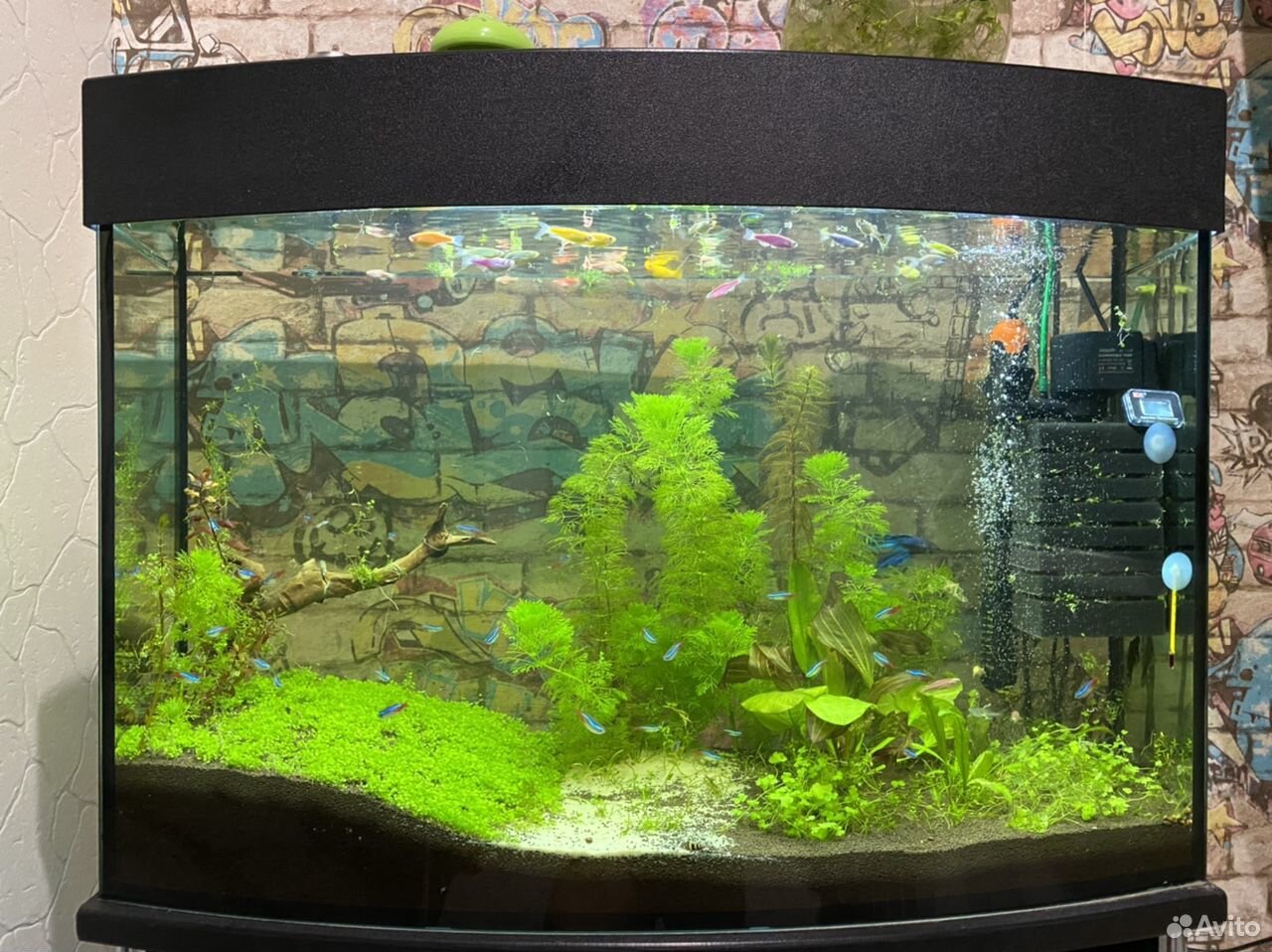Аквариум с рыбками