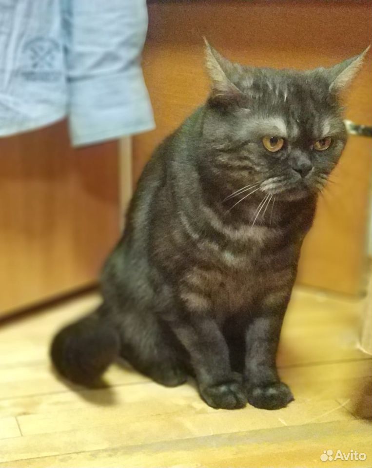 Девочка-Демон