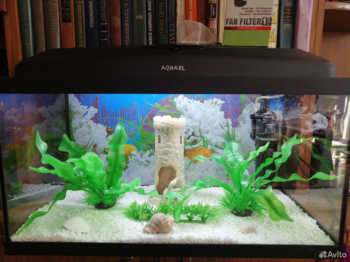 Аквариум Aguael