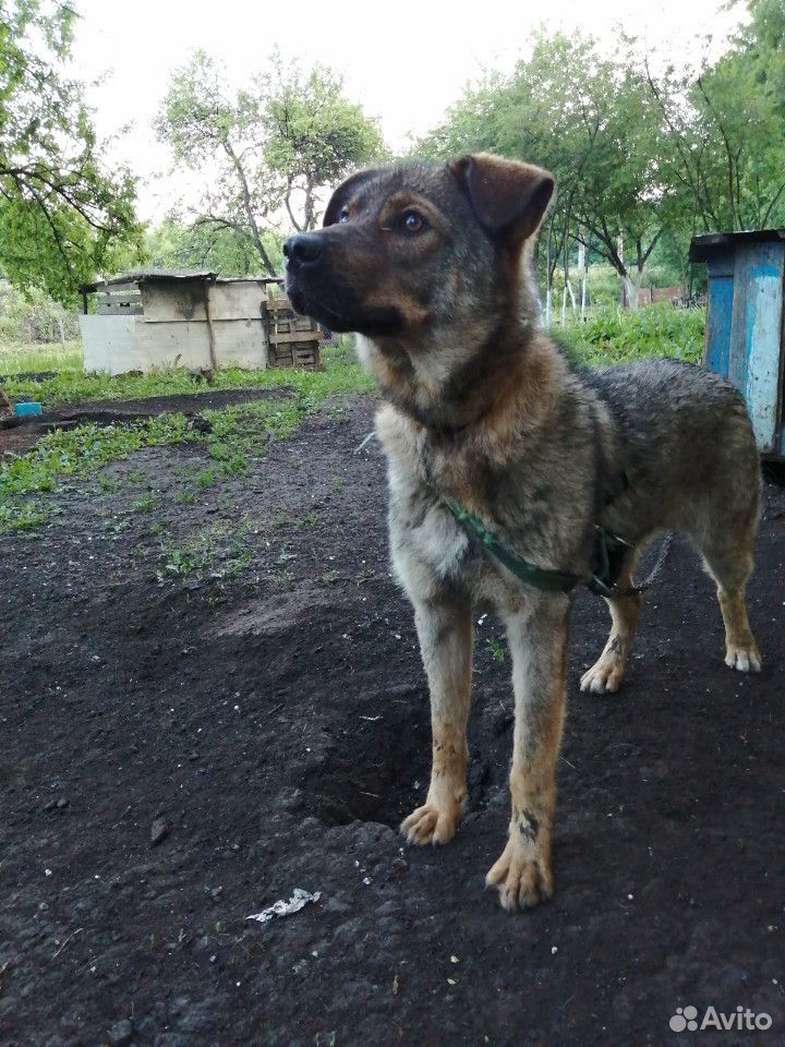 Серёга 7 мес