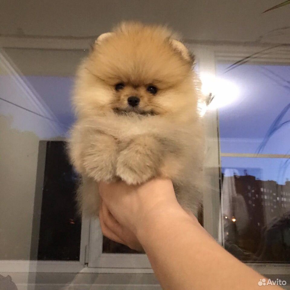 Мини мальчик