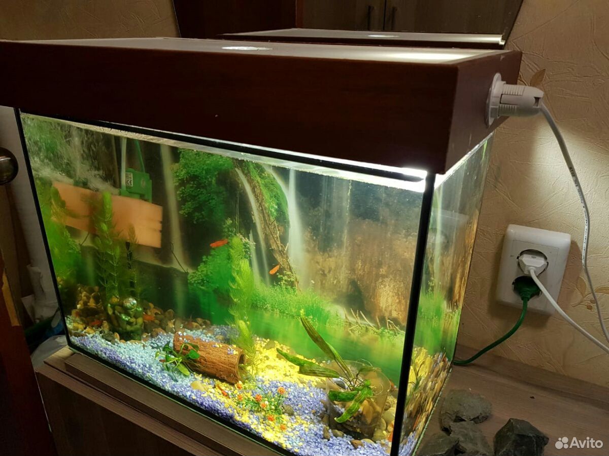 Новый аквариум с крышкой и всем содержимым, 45 лит