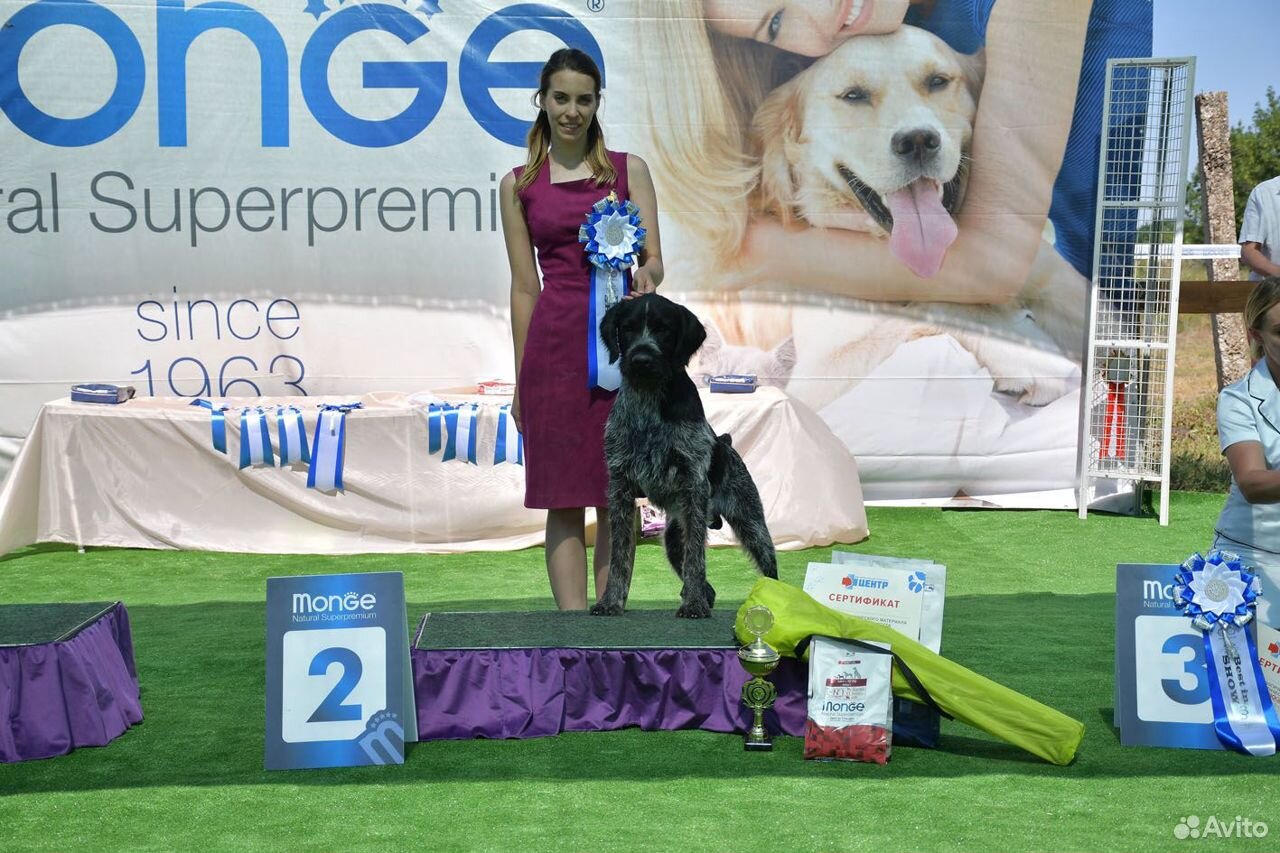 Дратхаар для вязки