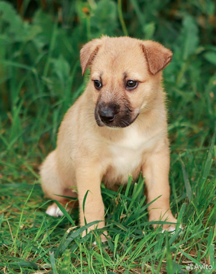 Девочка Малышка в дар