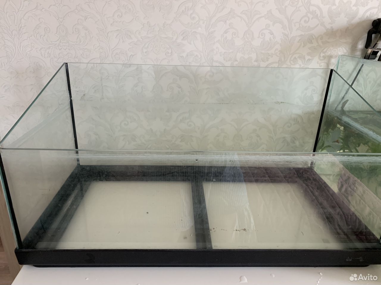 Террариум, аквариум