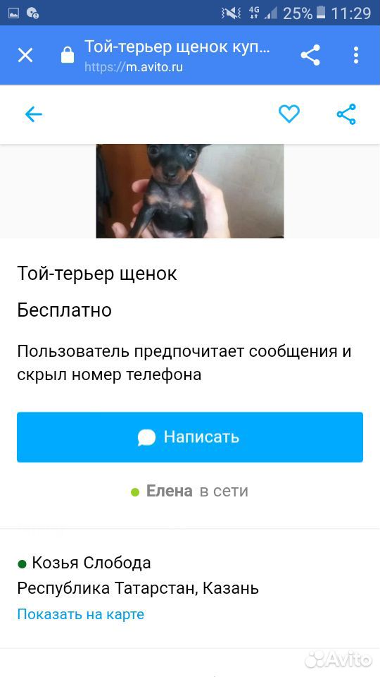 Возьму щенка маленькой собачки