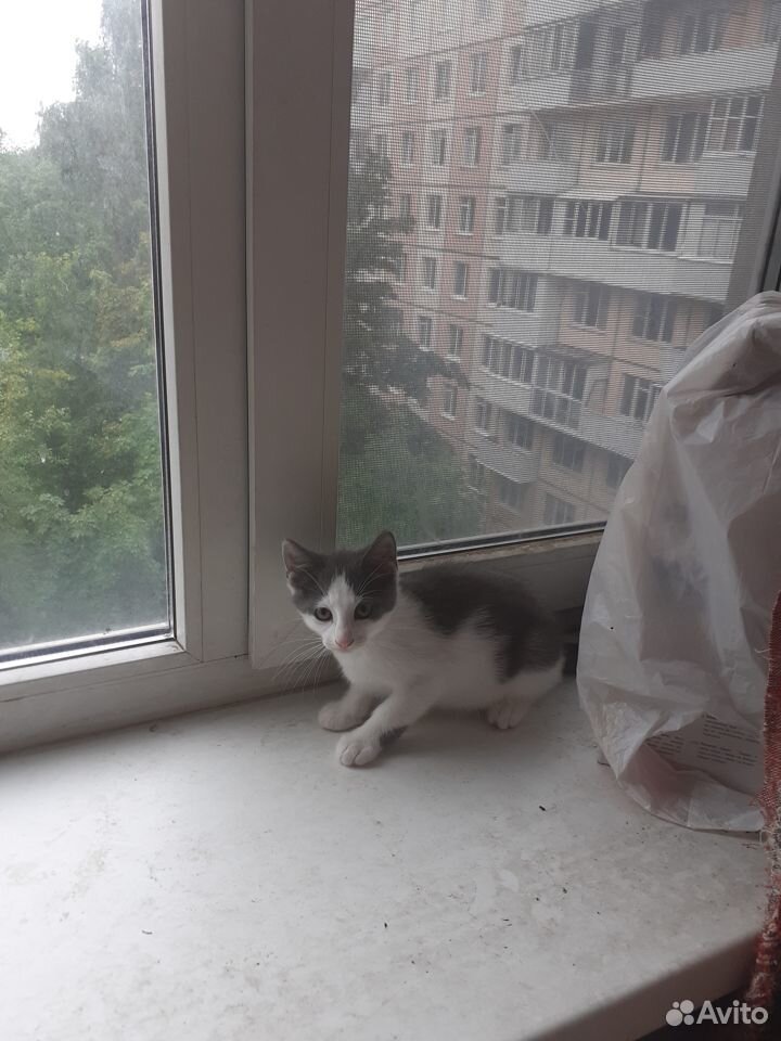 Малышка в хорошие руки