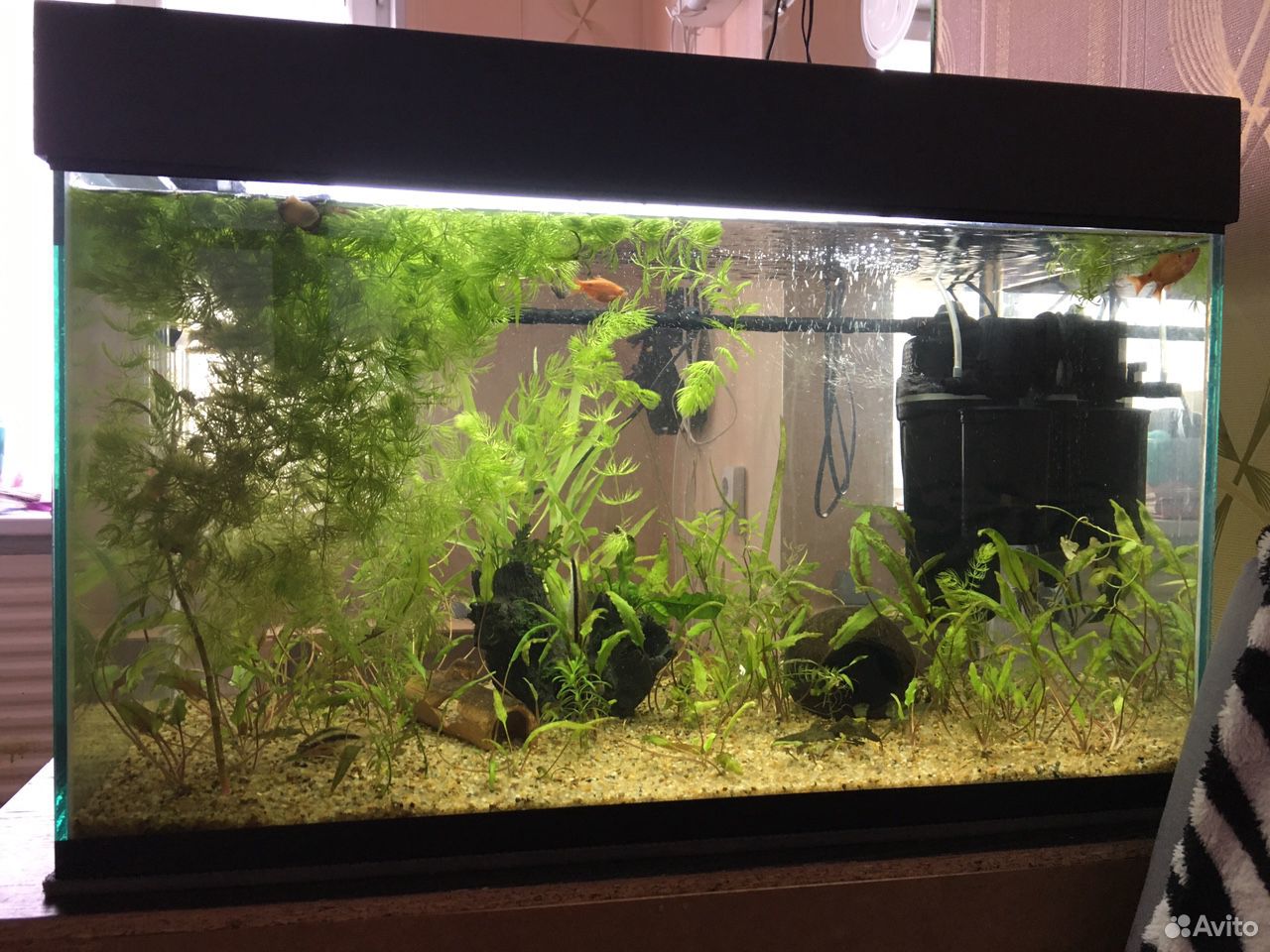 Аквариум 112 литров, 2 фильтра-компрессора, грунт
