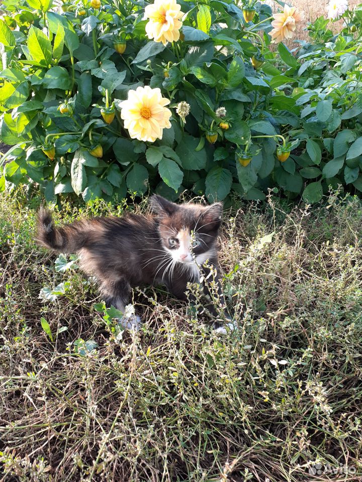 Очаровательный малыш