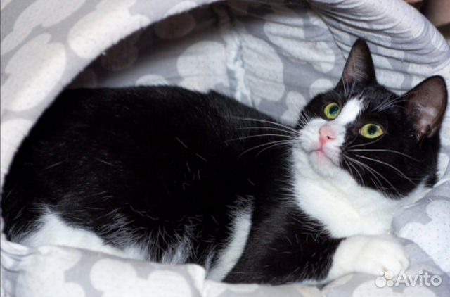 Прекрасная маркиза де помпадур