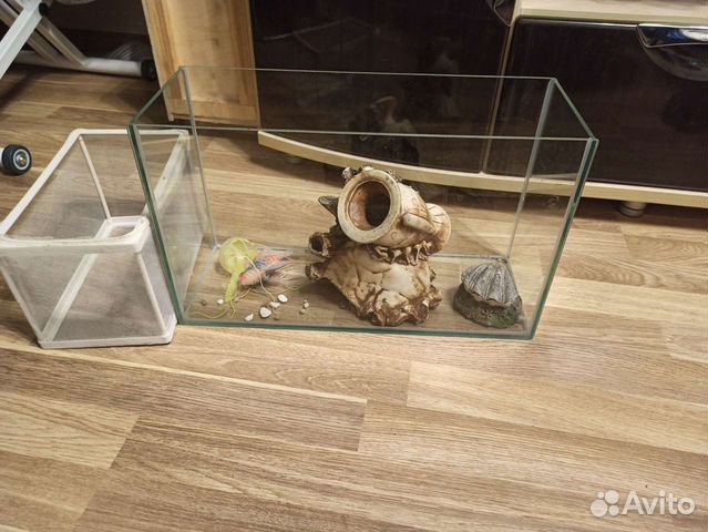 Аквариум с отсадником, укрытием