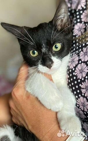 Счастье в ладошке