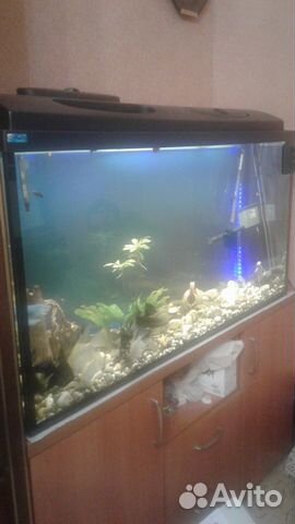Аквариум с тумбой