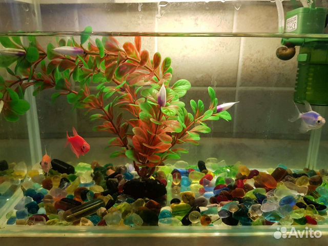 Аквариум