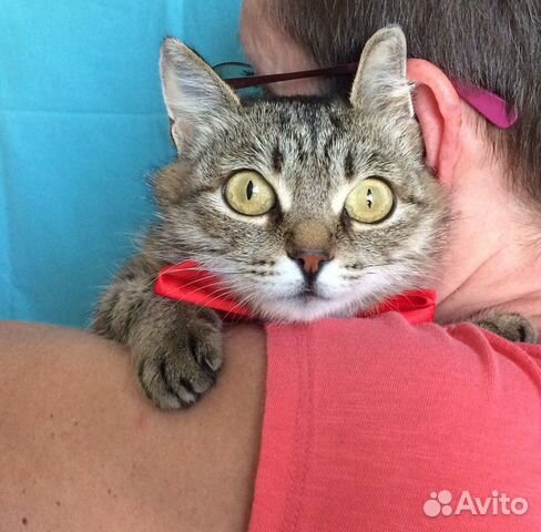 Тихоня Милька ждёт маму