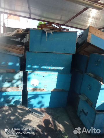 Улики лежаки