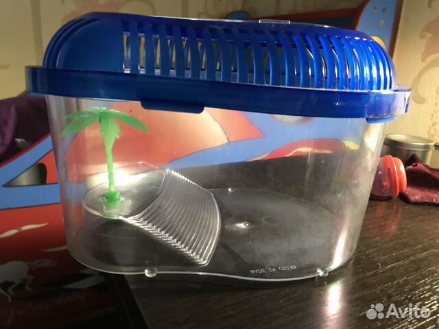 Контейнер для черепахи