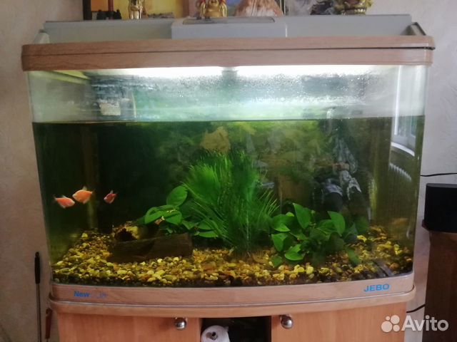 Аквариум с тумбой