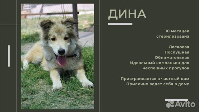 Дина, 10 месяцев