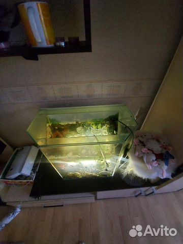Аквариум