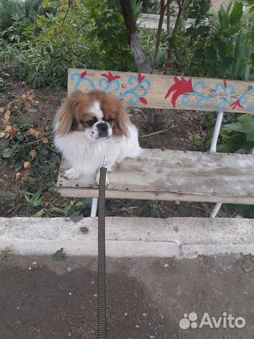 Вязка кабель ищите себе девочку