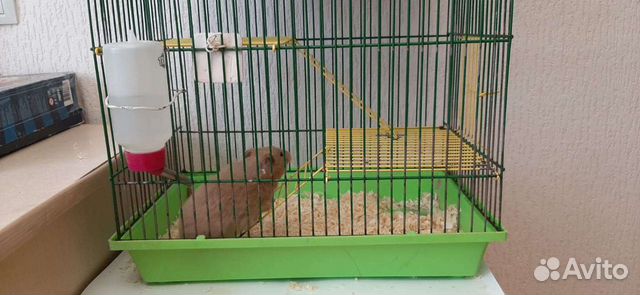 Клетка для грызунов