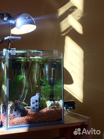 Аквариум 20л со всеми комплектующими