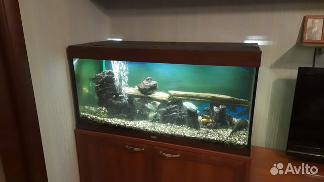 Аквариум продам