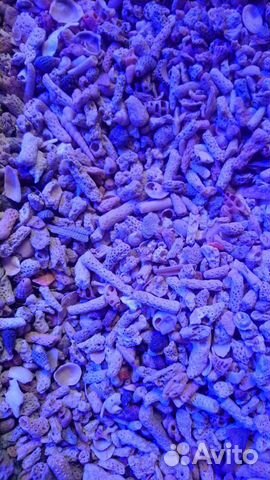 Крошка коралловая