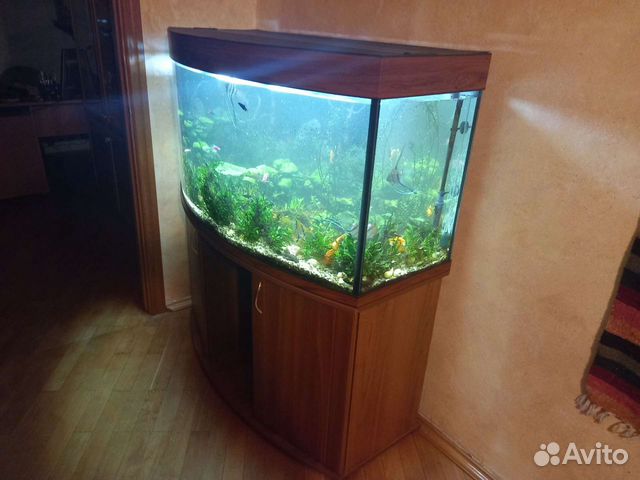 Аквариум с рыбками