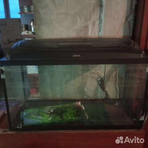Аквариум
