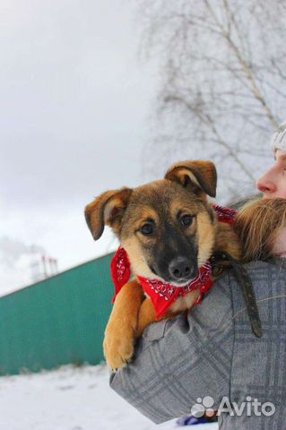 Самая добрая малышка Юта ждёт своих родителей