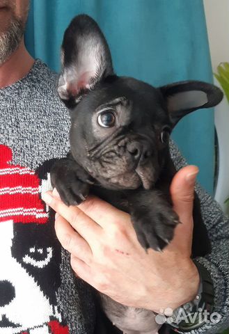 Девочка с цветной генетикой