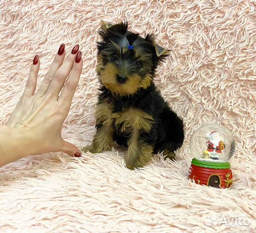 Мальчик-лапочка 2 мес