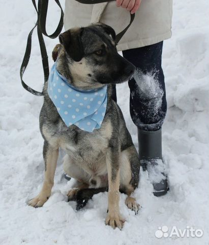 Ярик хочет домой к доброму и любящему другу