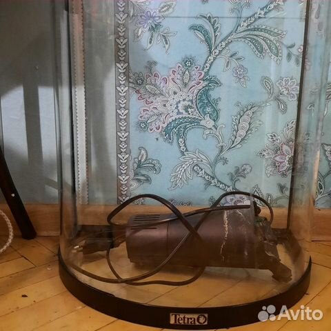 Аквариум тетра