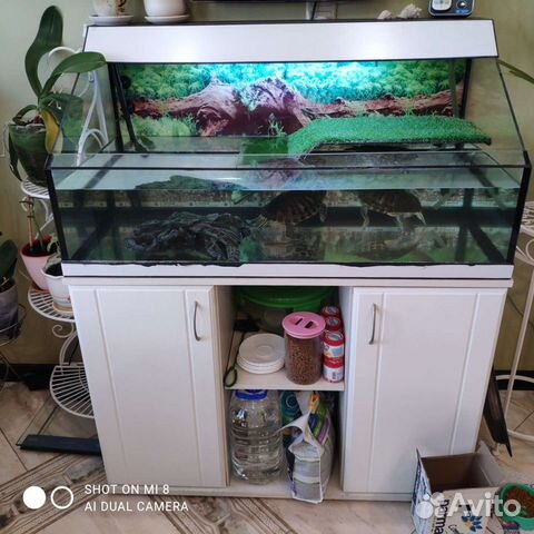 Террариум для красноухой черепахи