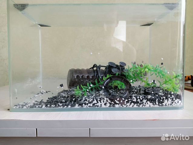 Аквариум