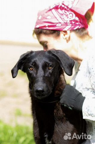 Ласковая Паулина трепетно ждёт папмам