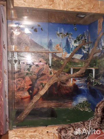 Террариум для рептилий