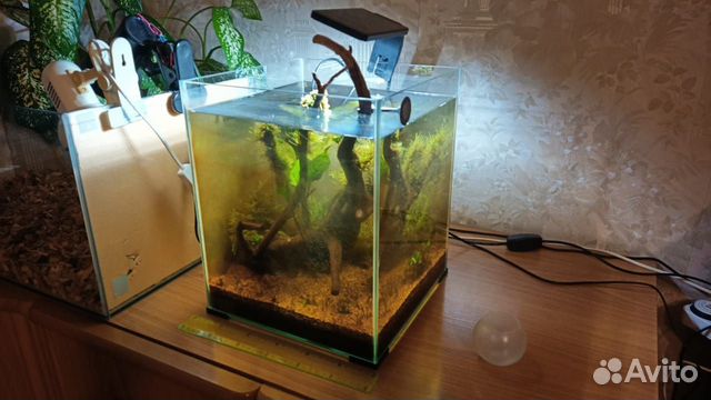 Аквариум Aquael Shrimp Set 30л, отсадники 80л, 12л